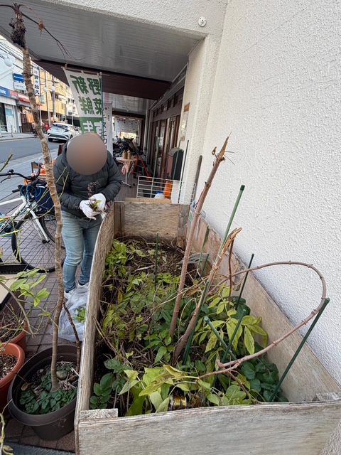プランター撤去に向けて、まずは草抜きから? - 株式会社NICO JAPAN