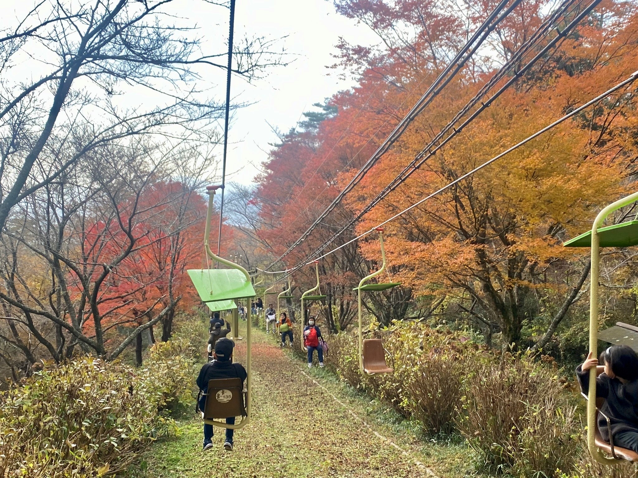 紅葉の季節? - 株式会社NICO JAPAN