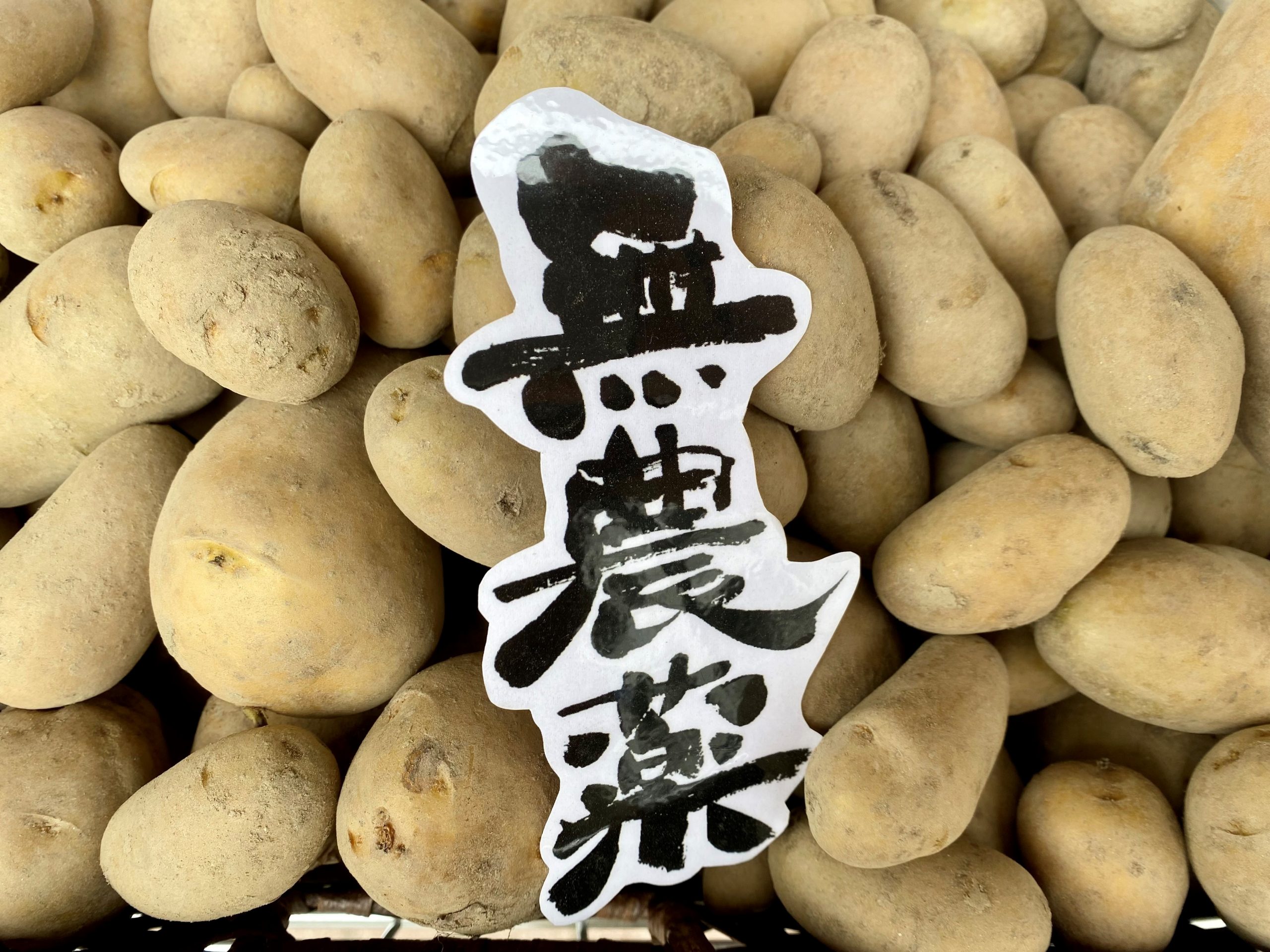 収穫野菜セール?? - 株式会社NICO JAPAN